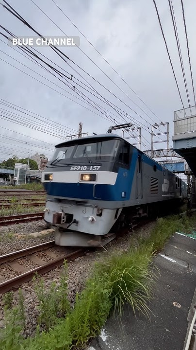 (貨物列車) 2024/09/25 3075レ EF210-157 + コキ17B (札幌タ〜名古屋タ) #Shorts - YouTube