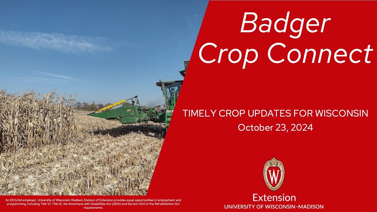 Badger Crop Connect Webinar Series 2024: 2025 Crop Input Cost ...