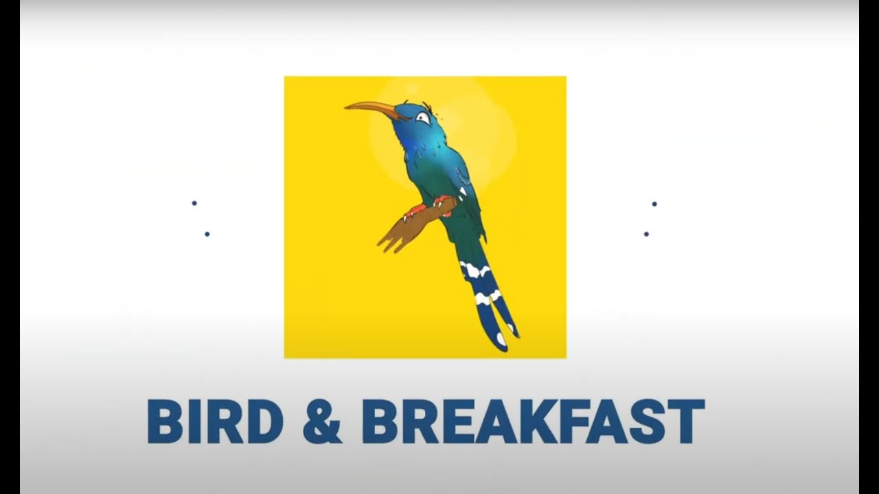 Sample Of The Birds You Can Expect To See At Our Bird & Breakfast ...