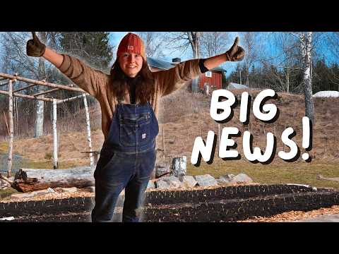 Big news, but now we have to hurry! | Rebuilding a small farm in Sweden