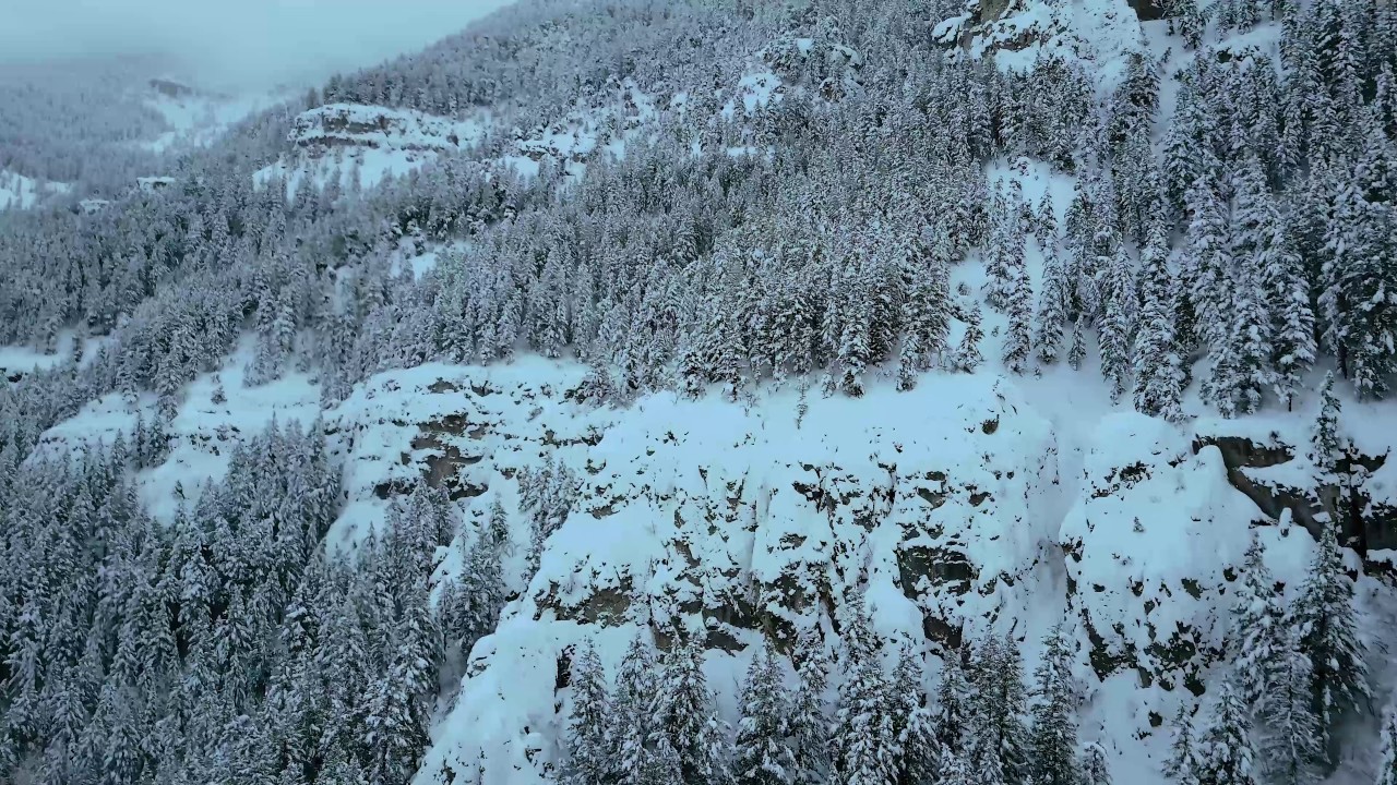 Spring Hollow, Logan Canyon Utah - YouTube