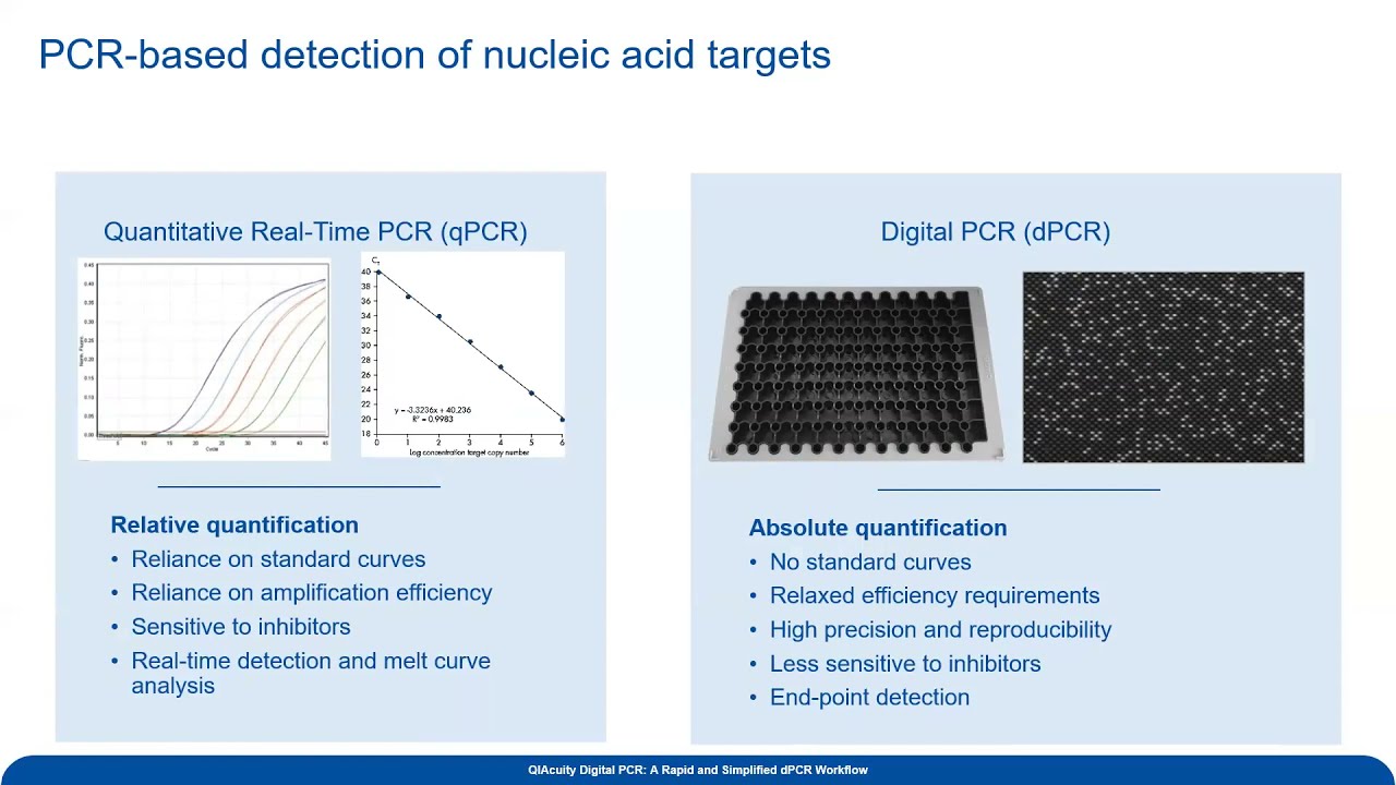 QIAGEN Seminar: QIAcuity, the Next-Generation of Digital PCR - YouTube