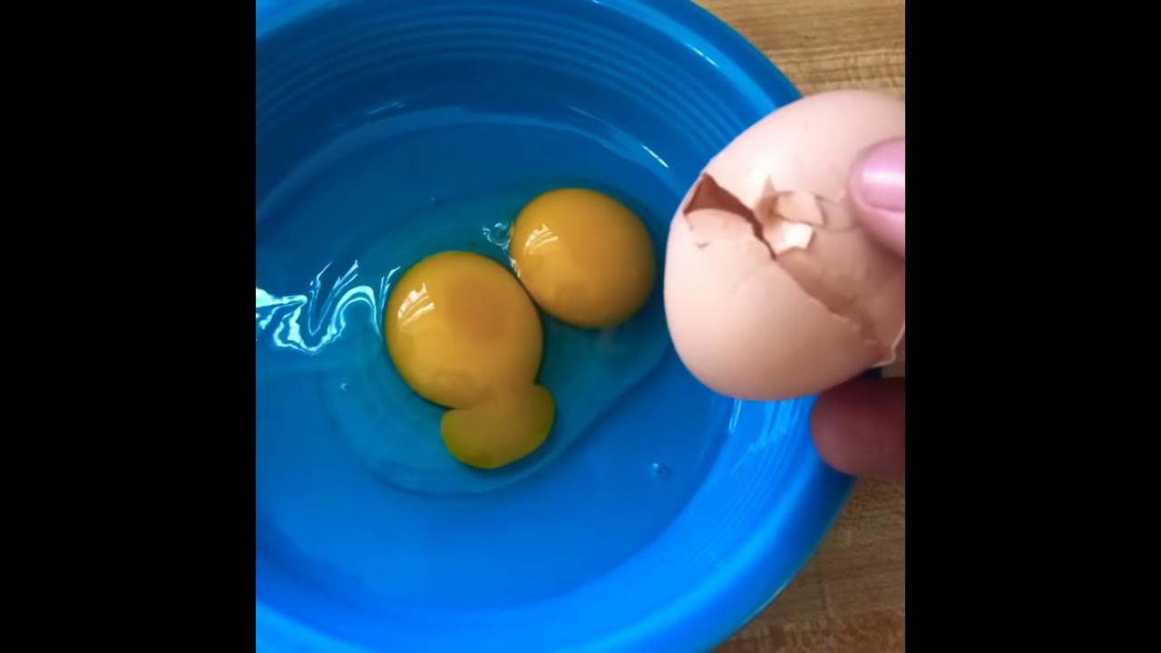 What s Inside This Extra Large Egg YouTube what-s-inside-this-extra-large-egg-youtube