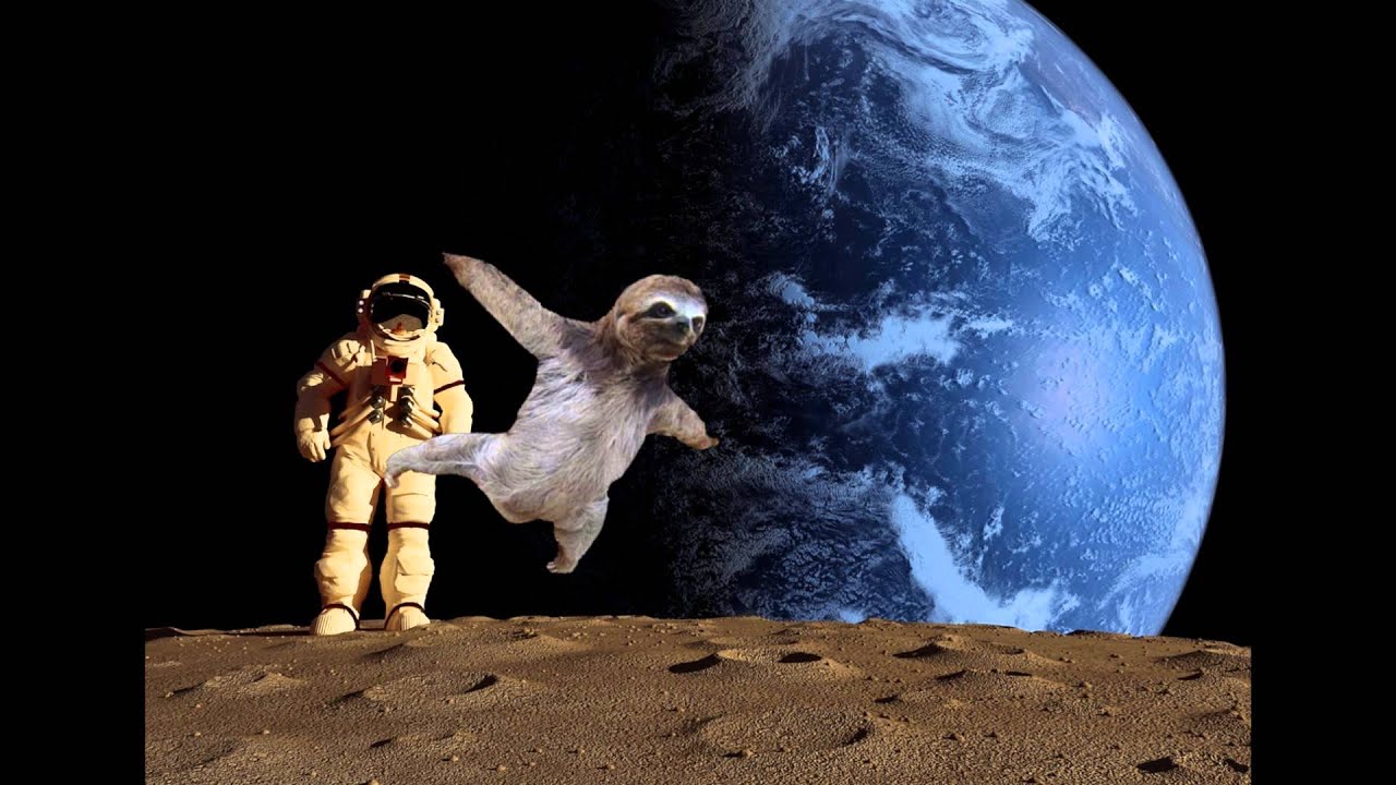 Flying Sloth! - YouTube