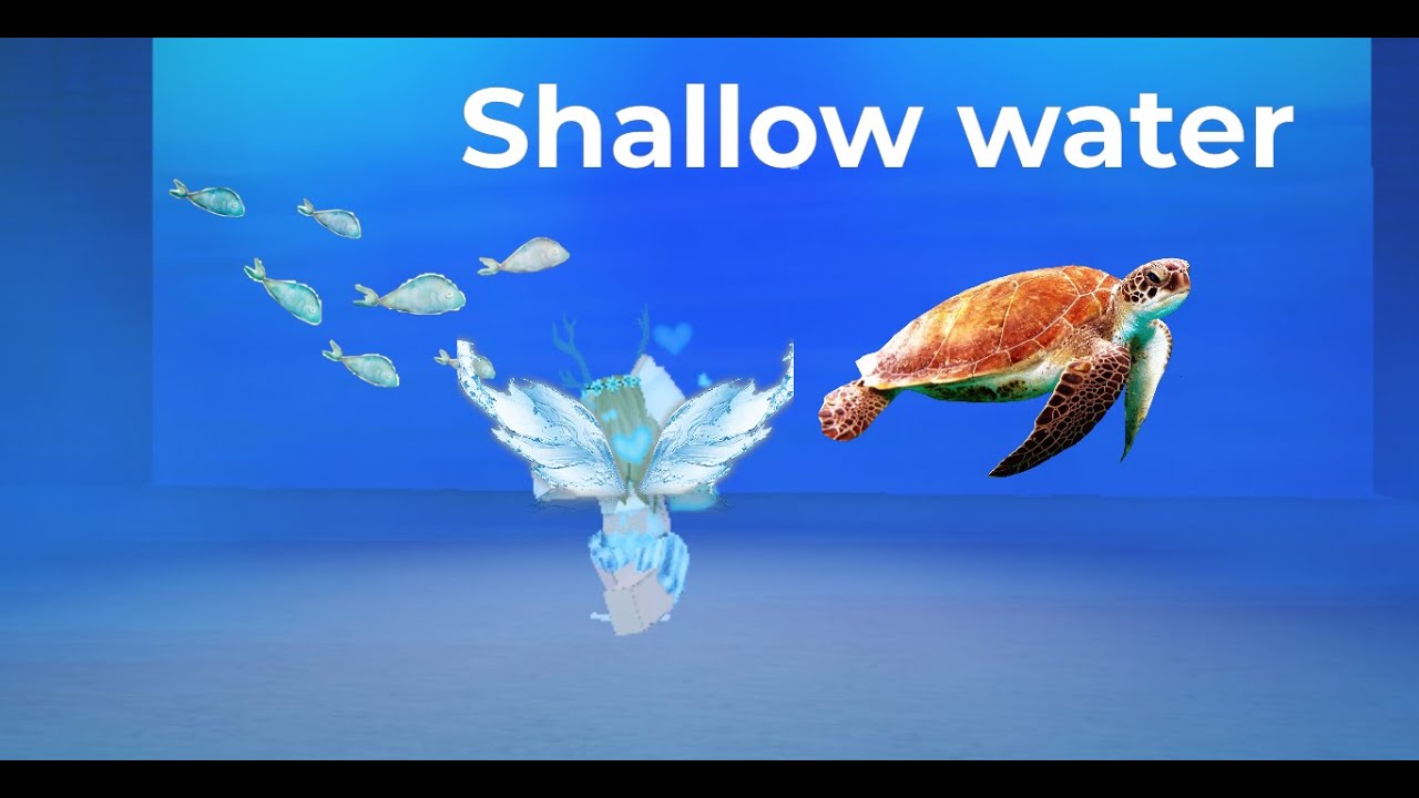 Shallow Water~Dance Your Blox Off~FreeSyle - YouTube