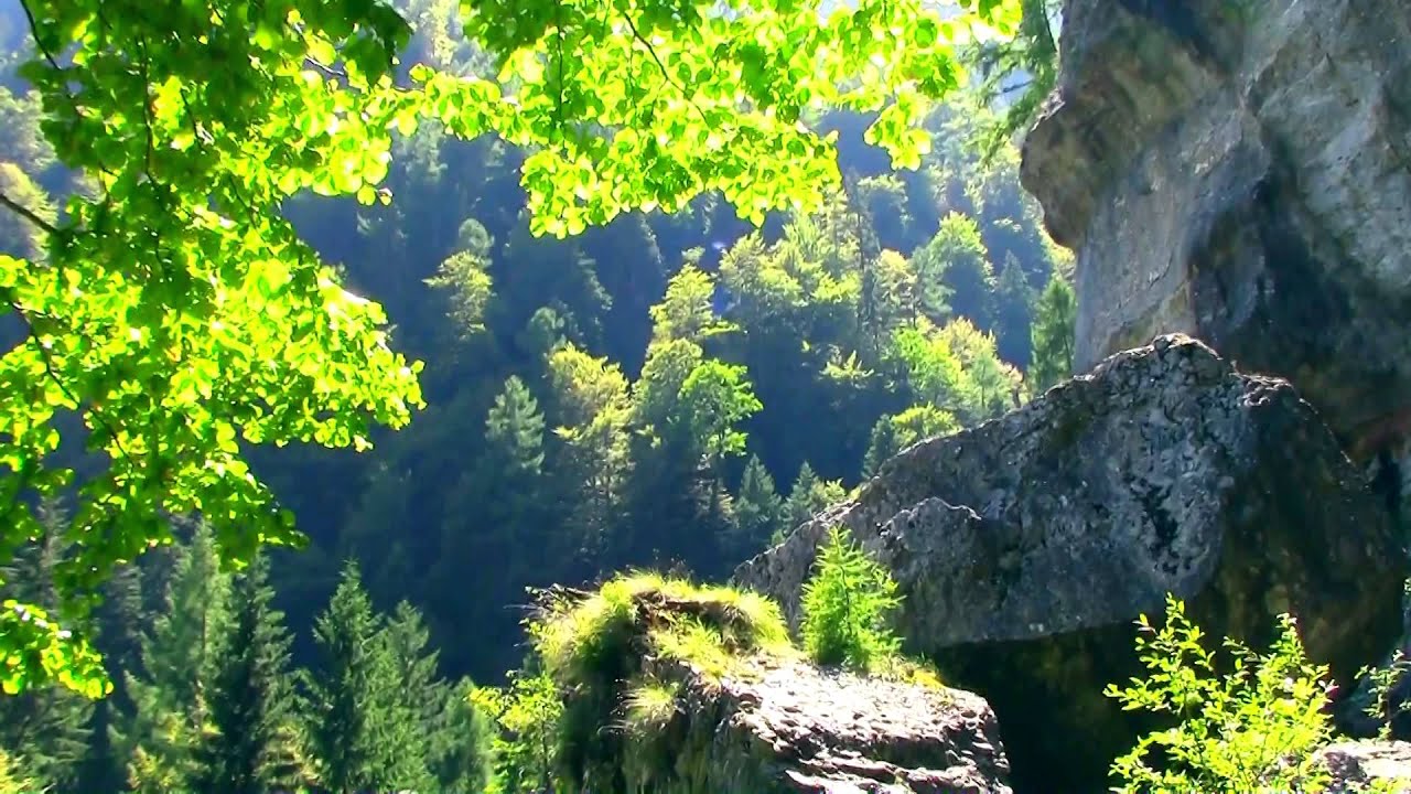 CASCADA SPUMOASA TRASEU - YouTube