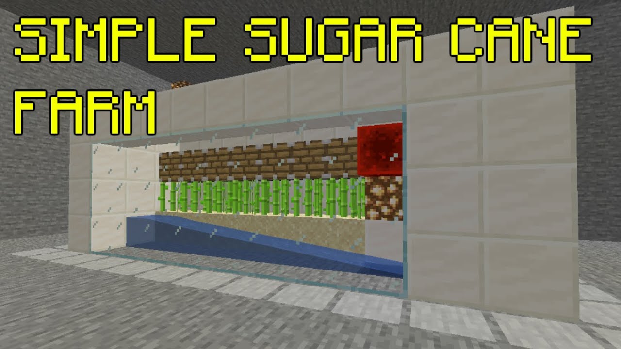 Minecraft: How to make a Simple Sugar Cane Farm 1.16 - YouTube