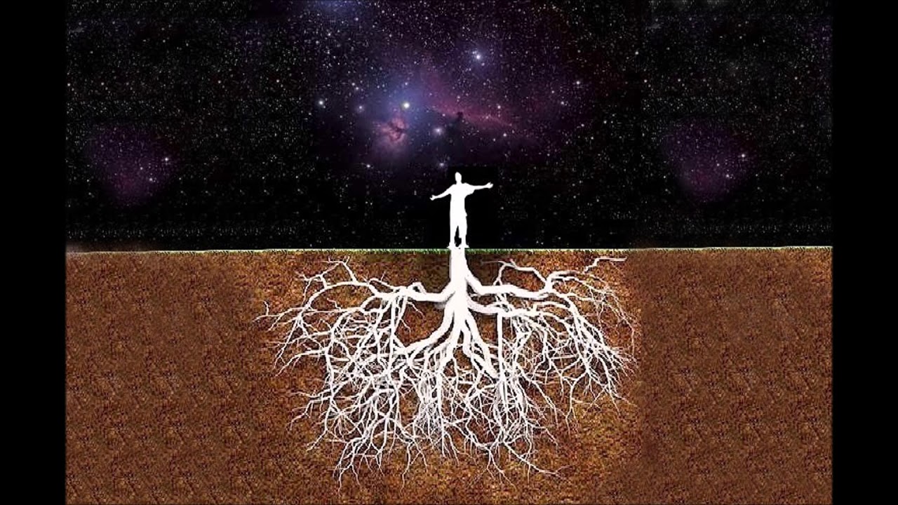 Meditacion de enraizamiento - Meditacion guiada - YouTube