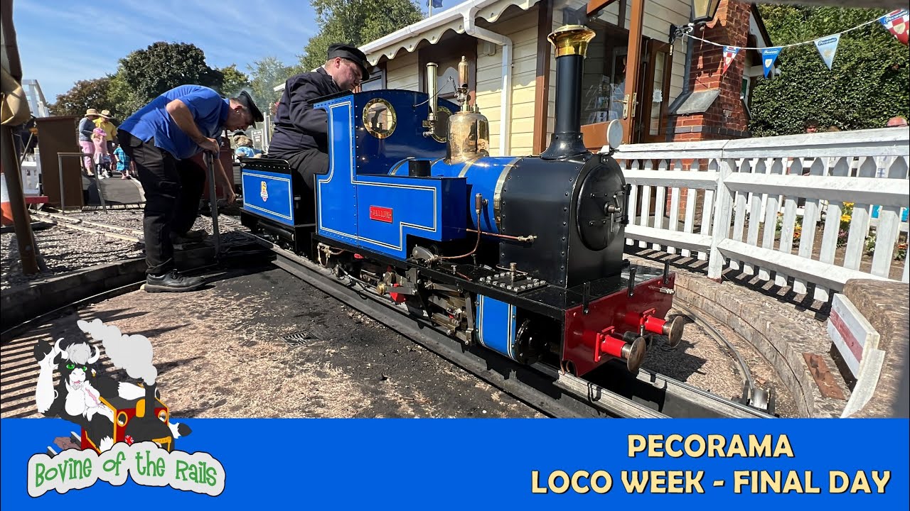 Pecorama Loco Week - 23rd August 2025 - YouTube