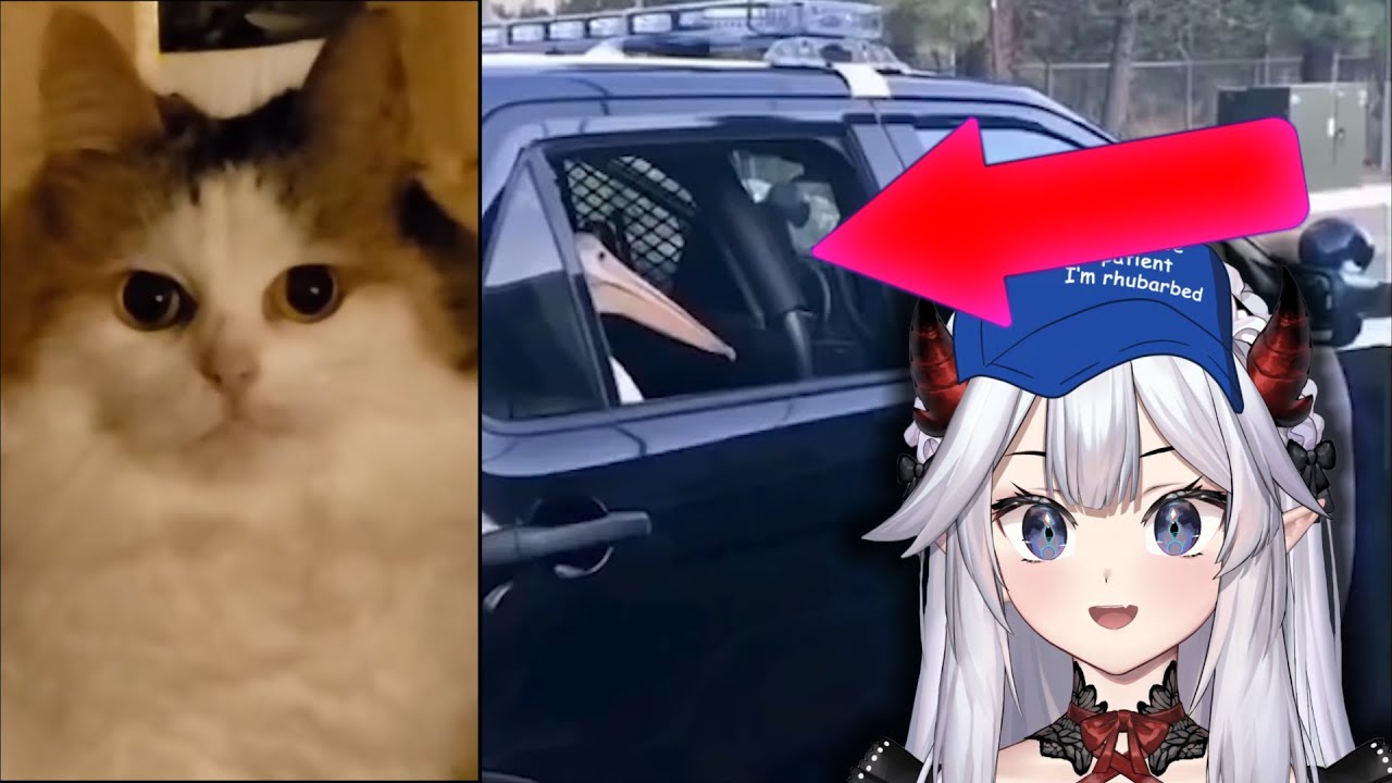 Veibae Reacts to Unusual Memes Compilation v138 & Guga Foods - YouTube