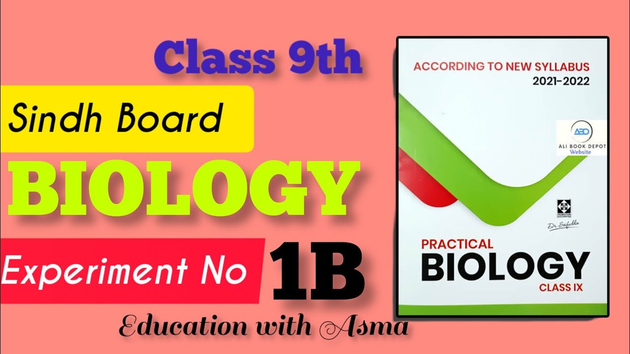 Unicellular Organisms Experiment 1 ( b ) | biology class 9 - YouTube