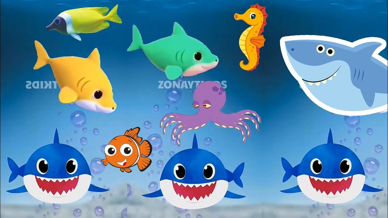 Baby Shark run away at Ocean | Baby Shark doo doo doo Baby Shark video ...