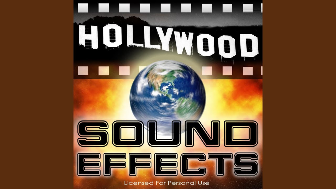 Animals - Loon Sound Effect - YouTube