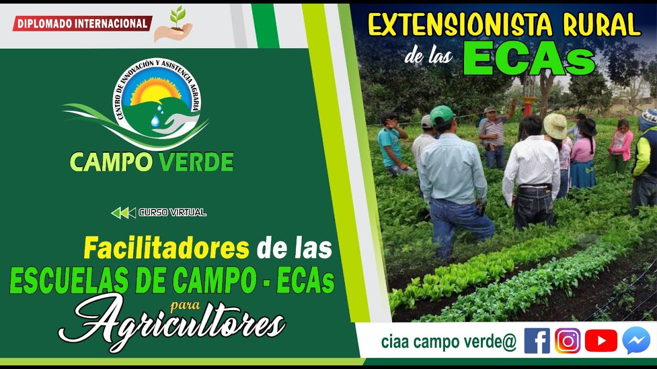 Escuela de Campo para agricultores - ECAS - YouTube