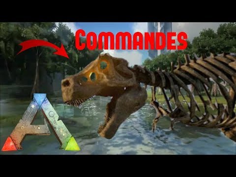 ARK COMMENT AVOIR TOUT LES SKINS SQUELETTE !? - YouTube