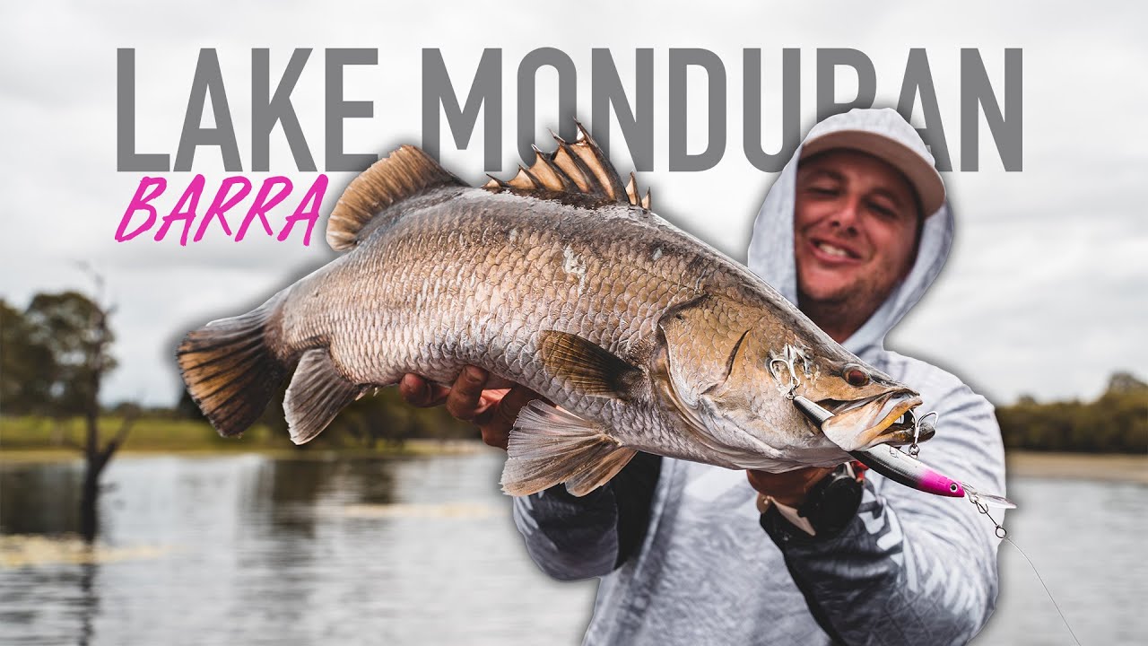 Barramundi Lake Monduran - YouTube