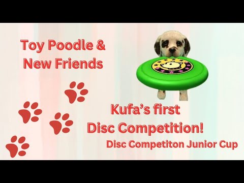 Kufa's first Disc Competition | Junior Cup | Nintendogs + Cats Toy ...