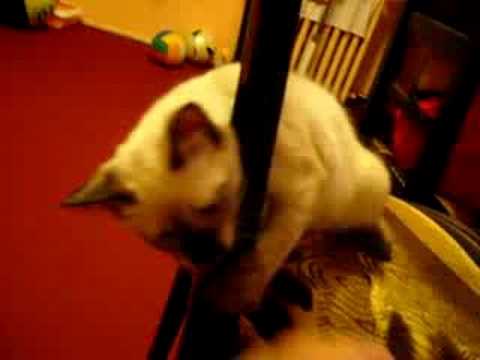 Ala micu al nostru 2 - YouTube