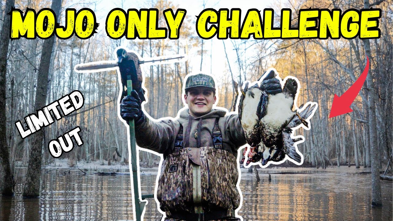 The MOJO ONLY DUCK HUNTING CHALLENGE (Catch Clean Cook) - YouTube