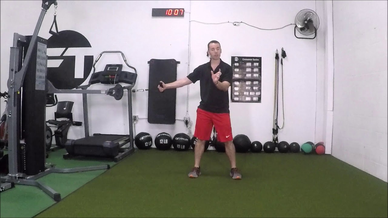 Cable Pallof Press Hold w Hip Rotations - YouTube