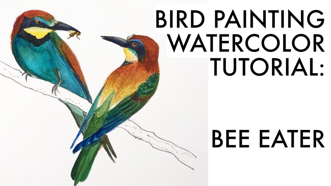 Painting a bee eater | watercolor tutorial - YouTube