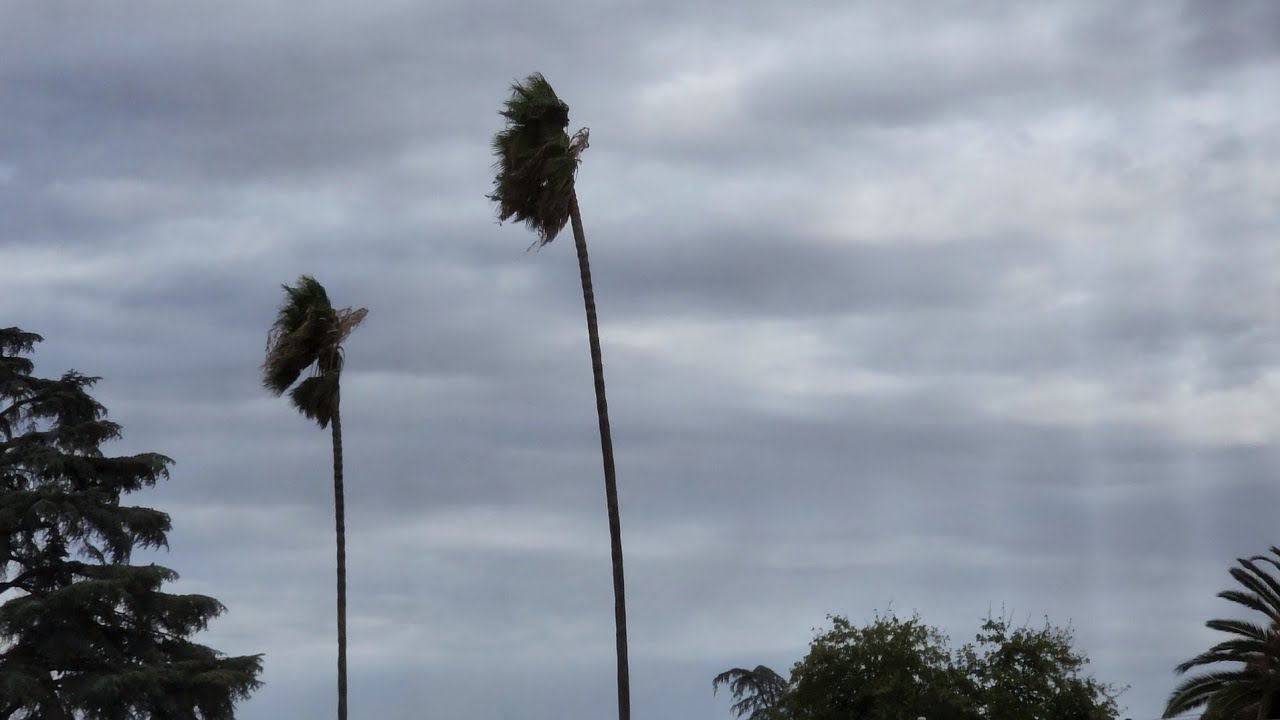 Gusty Windy SE Winds & Mostly Cloudy 12pm September 18, 2022 - YouTube