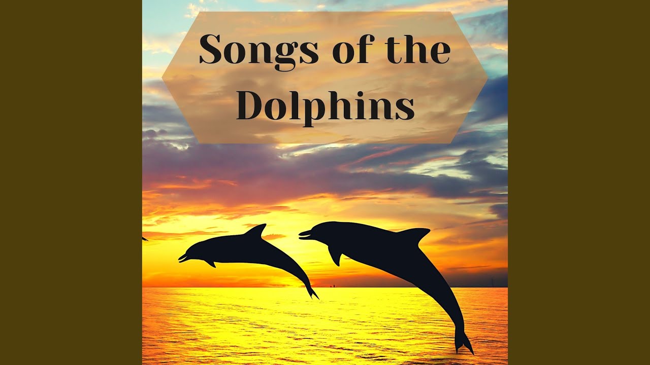 Songs of the Dolphins - YouTube