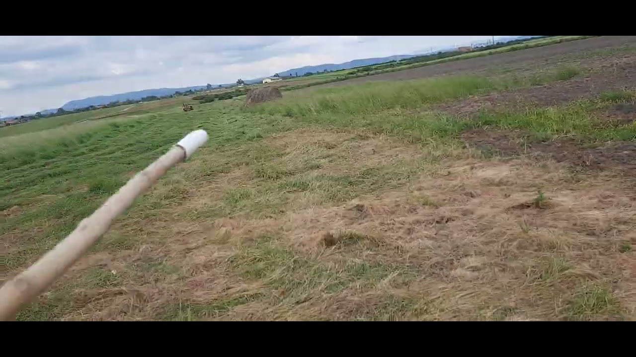 Am început campania de cosit fanul și lucerna 2023 - YouTube