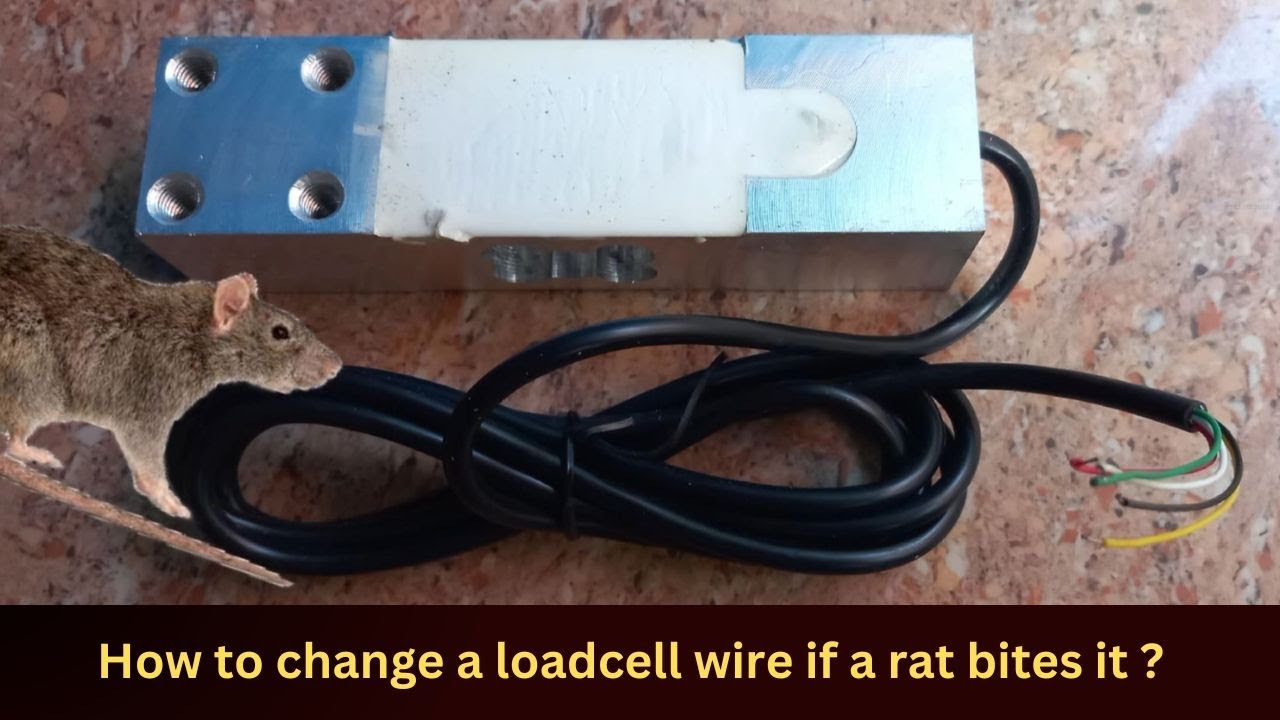 How to change a Loadcell wire if it is bitten by a rat ? - YouTube