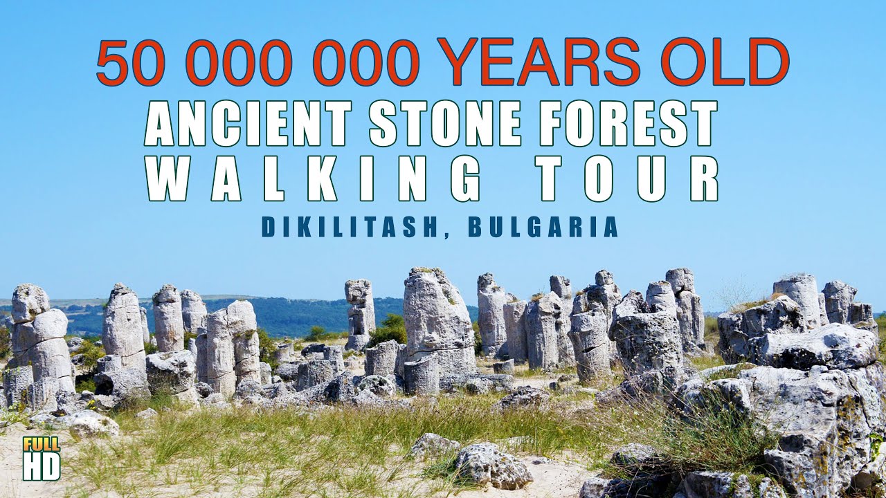 Walk In The Ancient Stone Forest - 50 000 000 YEARS OLD! Walking Tour ...