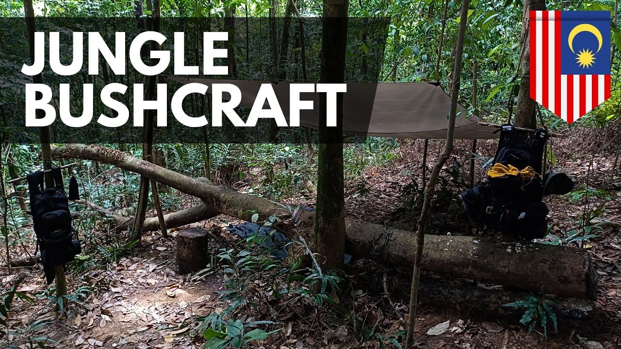 Bushcrafting in the Malaysian Jungle - YouTube