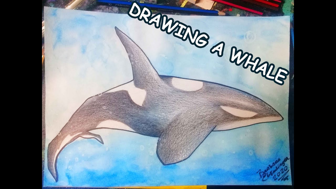 WHALE DRAWING WITH COLORED PENCILS - HEALING AND RELAXING ART - YouTube
