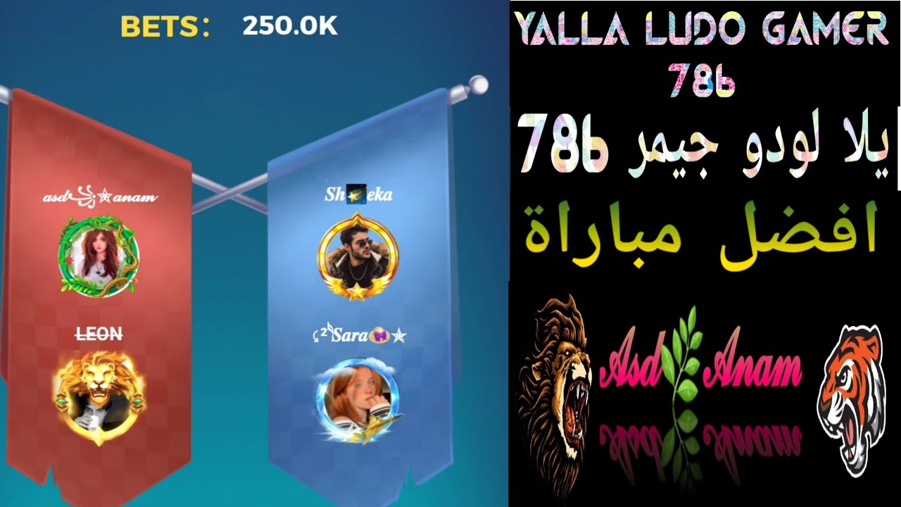 Yalla ludo best match play | yalla ludo gamer 786 | yalla ludo game ...