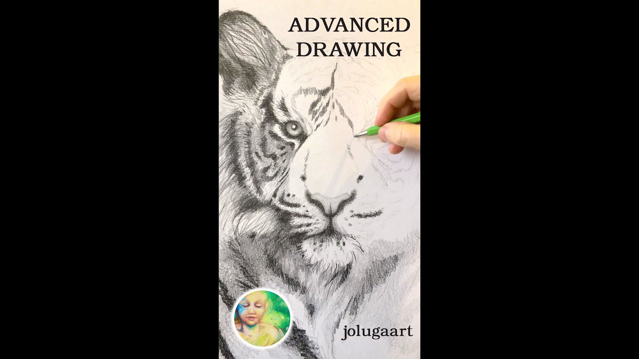 Advanced pencil drawing - tiger - YouTube