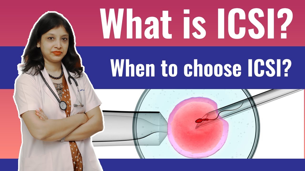 ICSI Treatment - All you need to know | Difference between IVF & ICSI ...