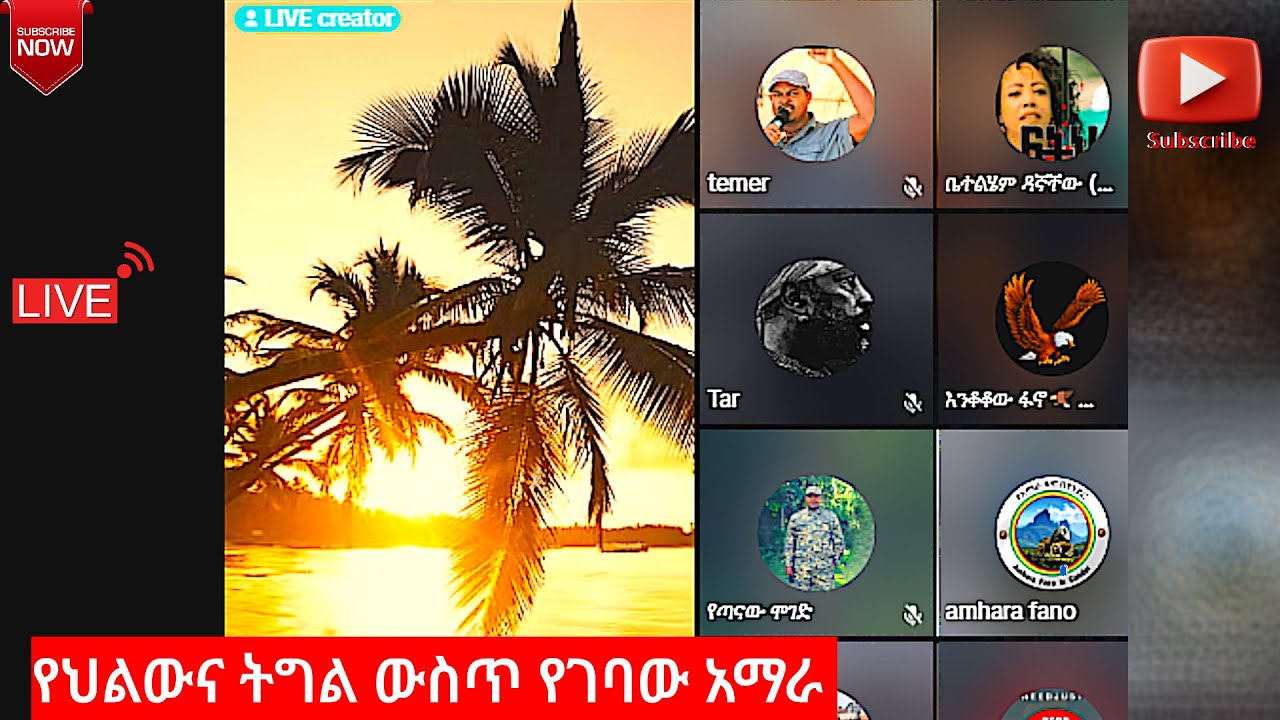 ቤተልሄም ዳኛቸው የህልውና ትግል ውስጥ የገባው አማራ / #yoni #ዮኒማኛ #ዘመዴ #Trump - YouTube