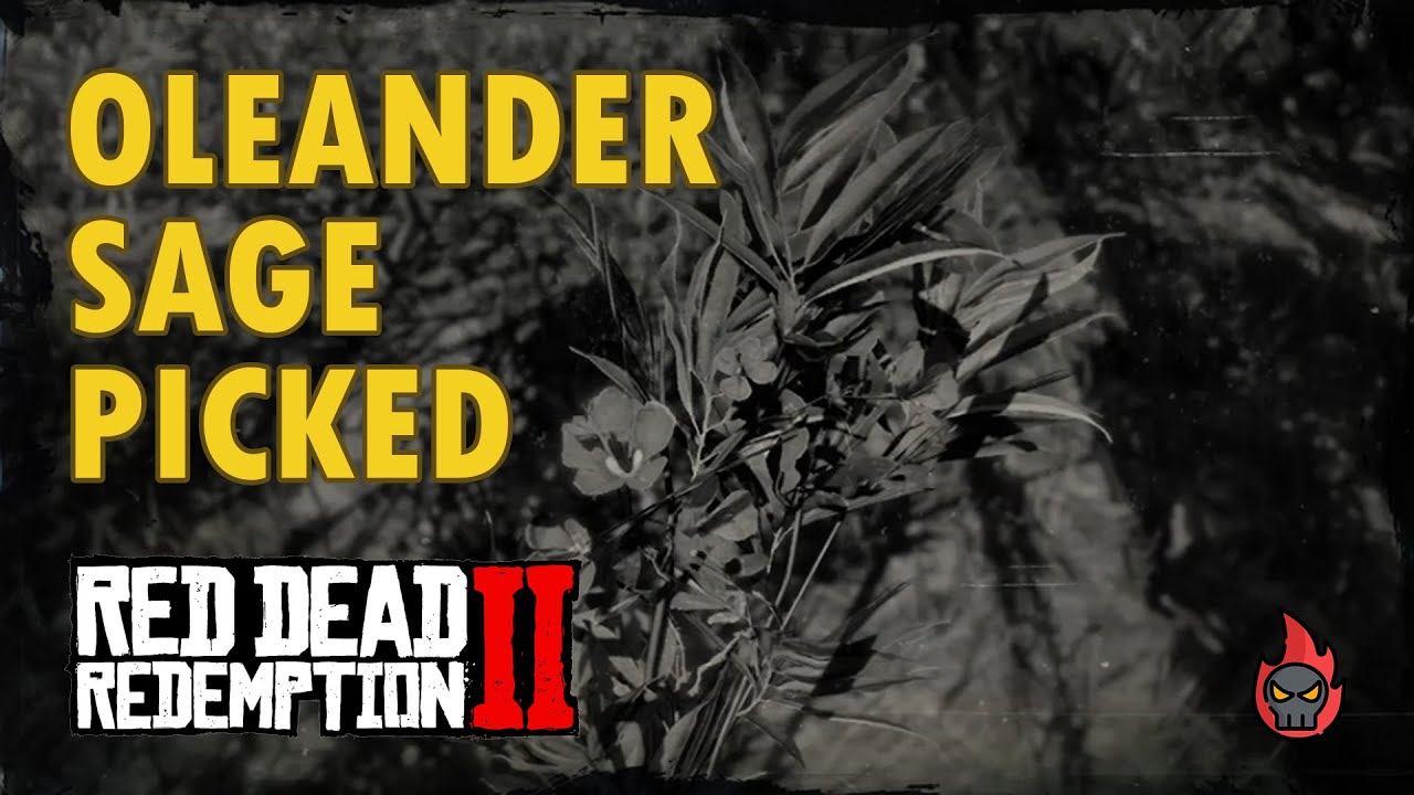 Oleander Sage picked - Where to find Oleander Sage - Red Dead Online ...