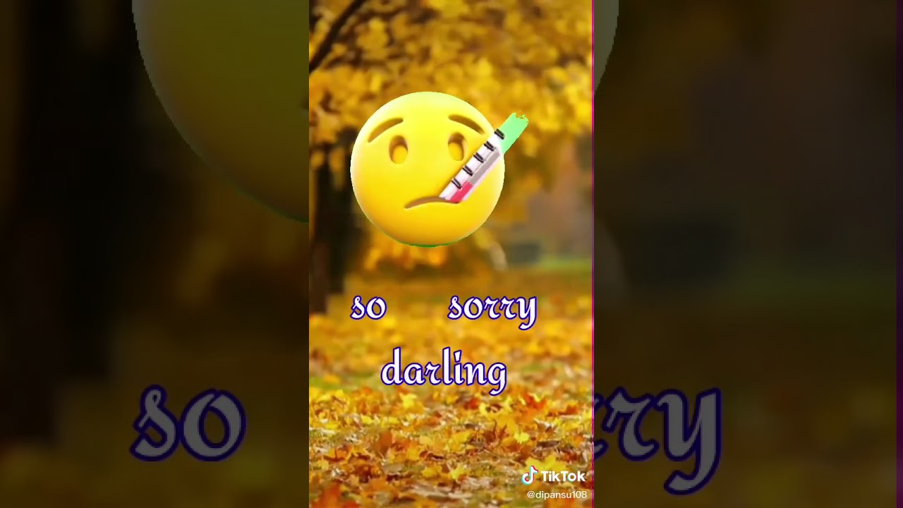 Song sorry darling - YouTube