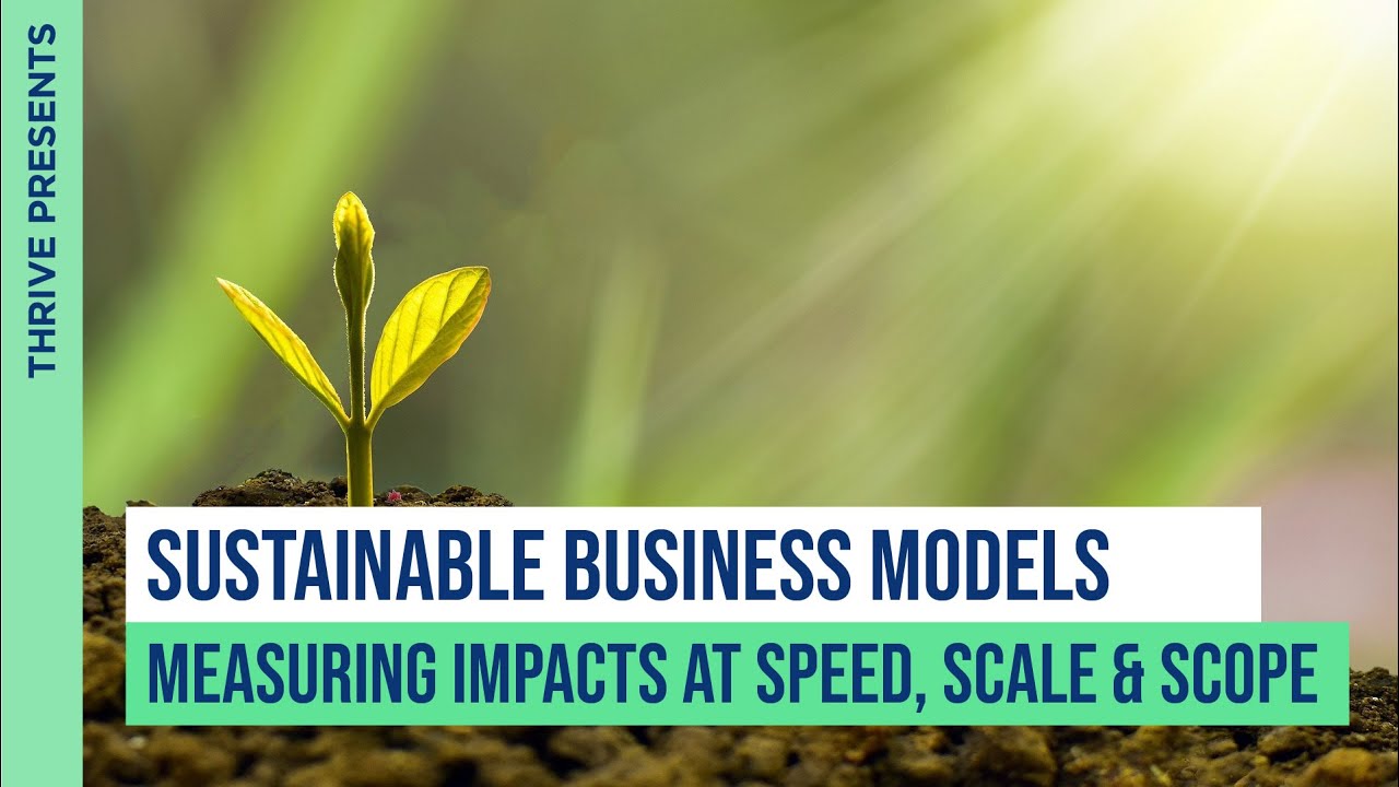 Sustainable Business Models: Measuring Impacts at Speed, Scale & Scope ...