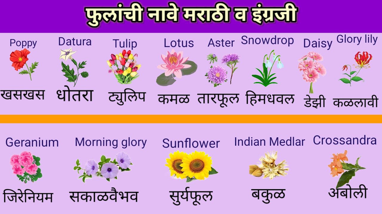 Flowers Name In Marathi Set Of 2 Flowers And Marathi Varnamala