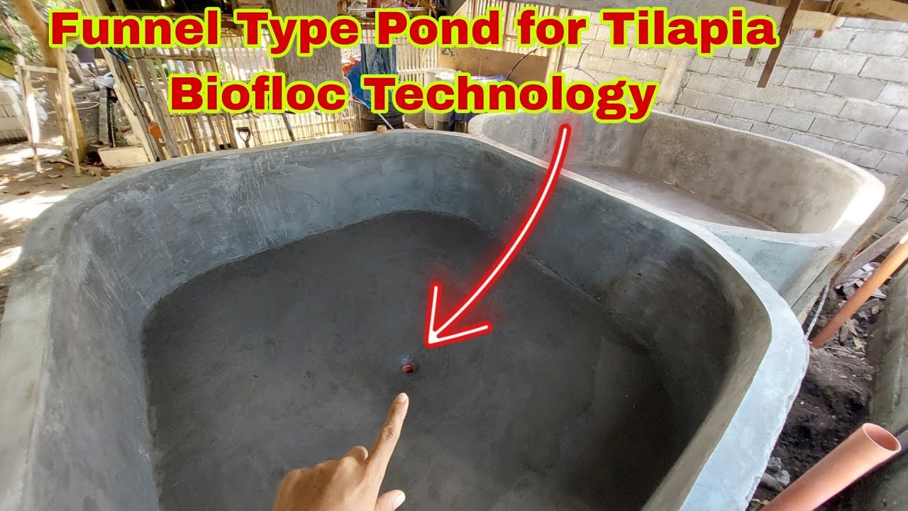 2 New pond for Biofloc Technology in Tilapia Done | Hito Farming Day 23 ...