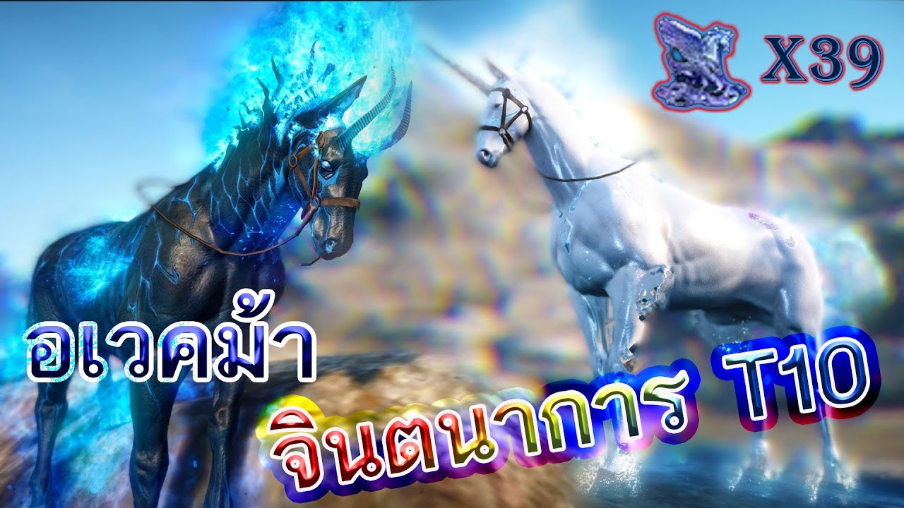 [BDO] อเวคม้า T10 39กระถาง - YouTube