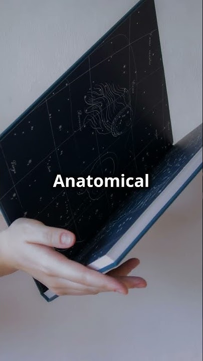 What I Learned from Decoding the World's Most Mysterious Book - YouTube