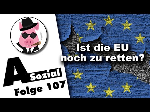 Solidarität – die tödliche Gefahr (tamm 107)