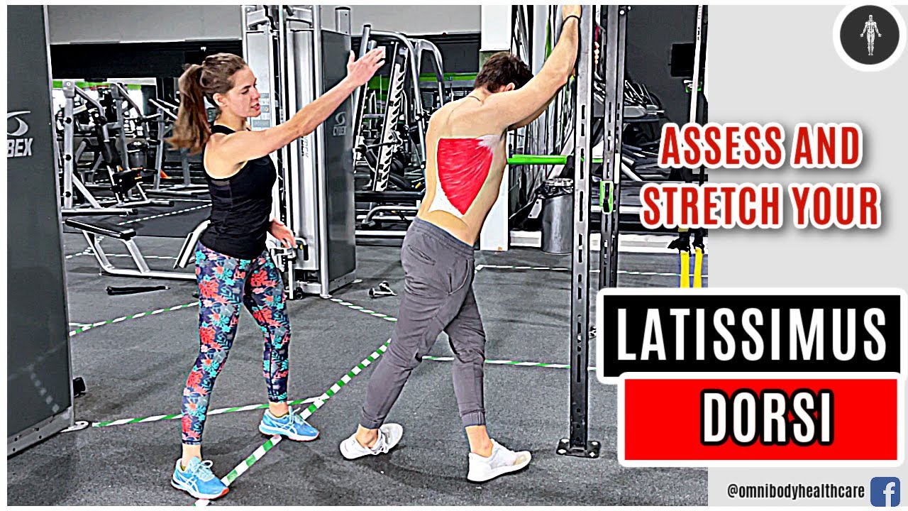 ONE OF THE BEST STRETCHES FOR YOUR LATS - YouTube