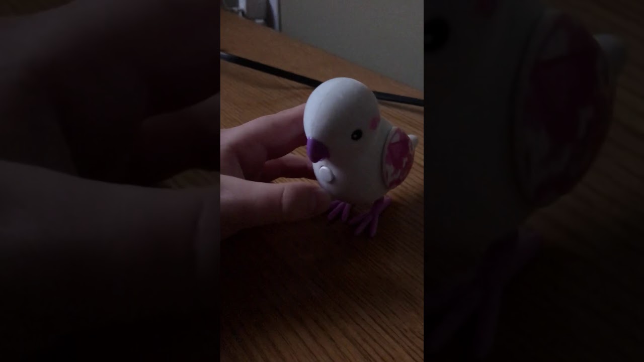Bird scream - YouTube