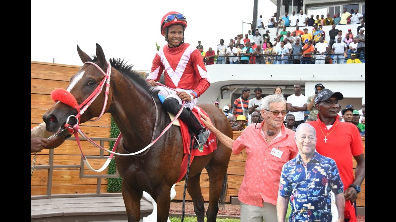 JAMAICA RACING: Major Danger Fights To Win Tues, Aug 6, 2024, 10th ...