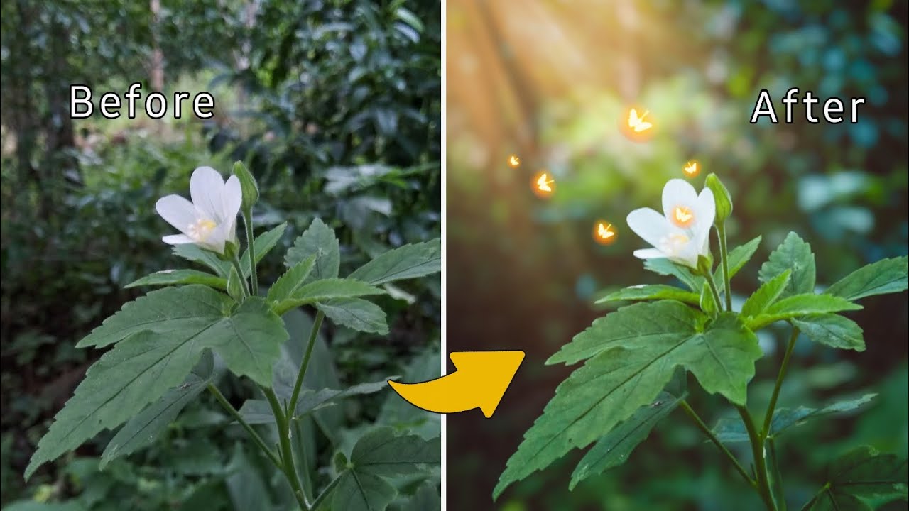 Mobile Photo Editing | How To Blur Background In Snapseed | Mobile ...