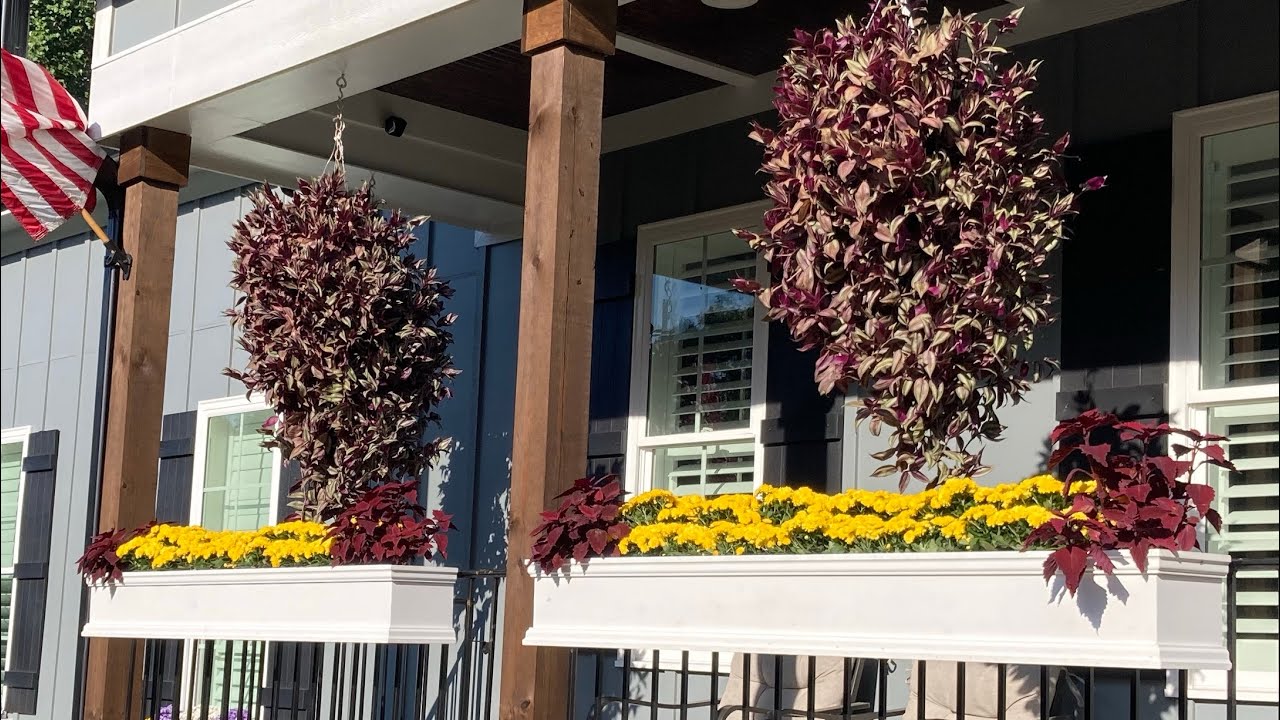 🍁🍂🌼 Fall Window Boxes are Ready!🍁🍂🌼 - YouTube