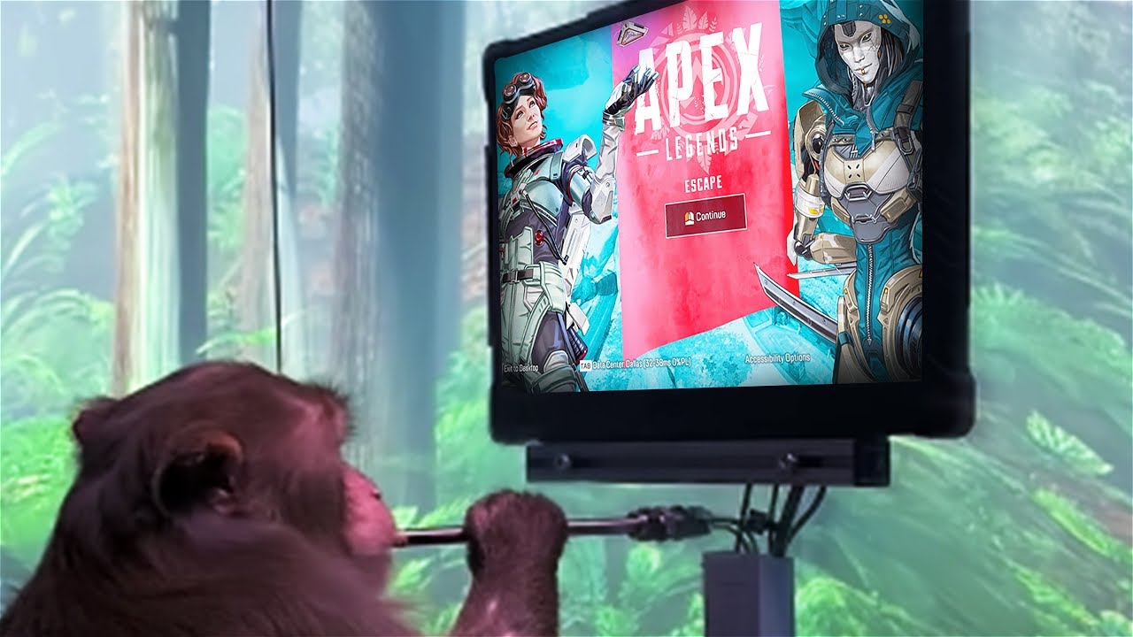 They taught a monkey how to play Apex Legends - YouTube